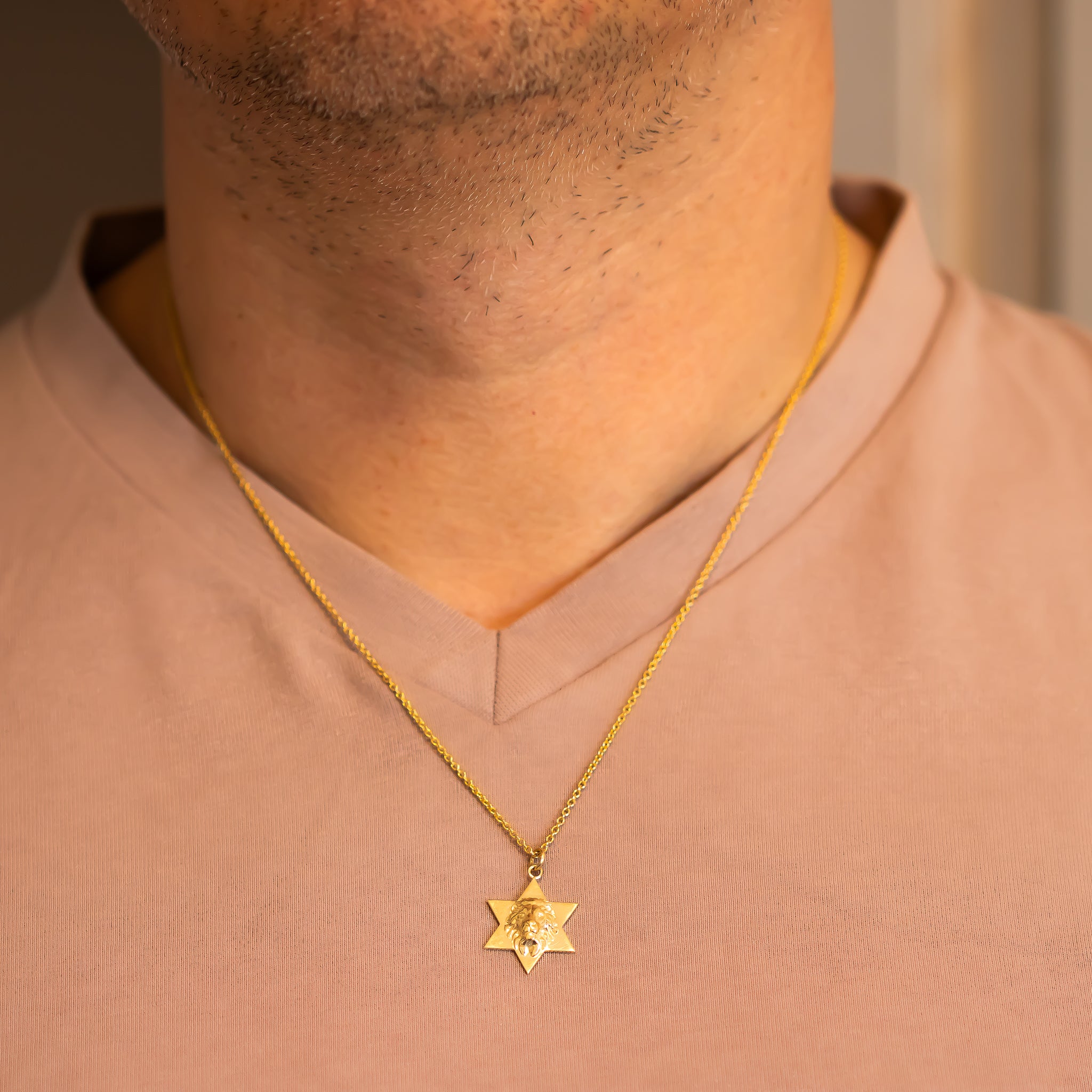Star of David Lion Pendant Neckace | Magen David Jewelry – Sivan Lotan ...